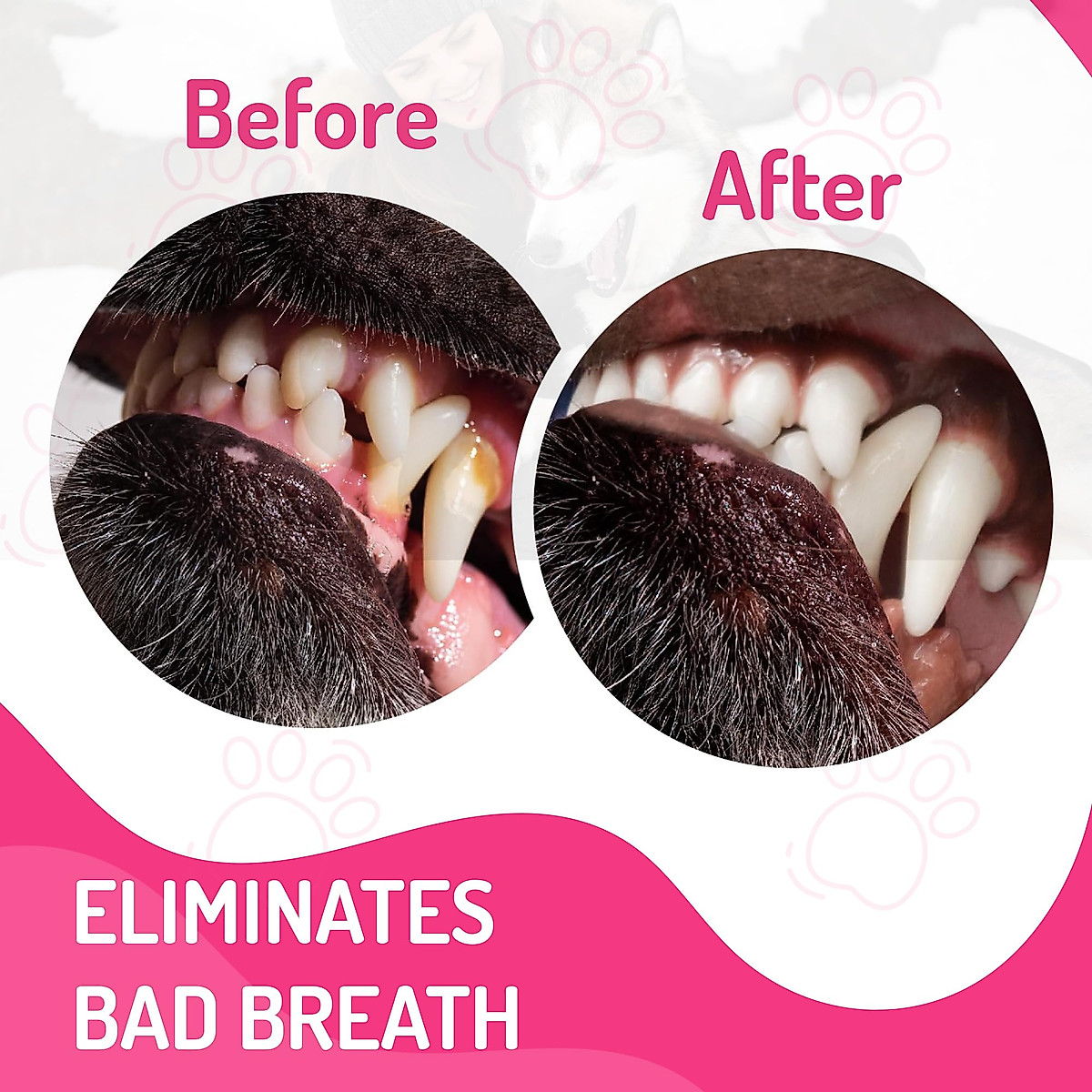 ROXXAM Pet Eye Wipes | Soft & Gentle Tear Stain Remover for Dogs Wipes | Convenient & Easy to Use Dog Mouthwash: Advanced Dental Care Water Additive for Dogs | Keep Dog Breath Fresh and Teet