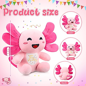 HyDren 10 Inch Happy Plushy Birthday Plush Pink Axolotl Plush Soft Cute Stuffed Animal Plush Pillow Kawaii Birthday Gifts for Kids Girls Party Favor Bedroom Home Decor