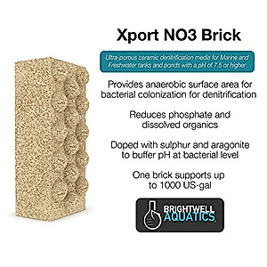 Brightwell Aquatics Xport NO3 Brick - Ultra-activated Denitrification Brick Media doped with Elemental Sulfur for Superior Performance in Filtration Media