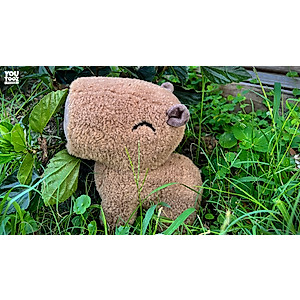 YouTooz Capybara 9" Inch Plush, Super Soft and Adorable Capybara Animal Plush Capybara Plush Collection