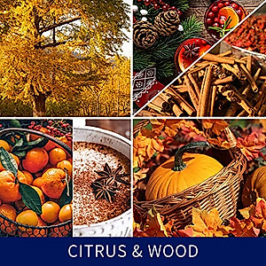 subrtex Citrus & Wood Scented Candles for Women, 12.3oz Large Jar Single Wick Candle, 70 Hours of Burn Time, Highly Scented Aromatherapy Candle Valentine's Day Gift for Bathing Massage