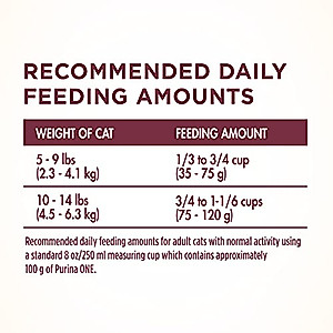 Purina ONE High Protein Dry Cat Food, +Plus Urinary Tract Health Formula - 16 lb. Bag