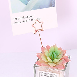 30pcs Metal Wire Floral Place Card Holder Stand, 13 Inch Table Name Number Picture Holder Clips Menu Note Memo Holder for Wedding Birthday Baby Shower Party Favor.