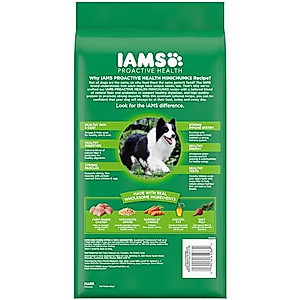 Iams Adult Minichunks Small Kibble High Protein Dry Dog Food with Real Chicken, 3.3 lb. Bag (Pack of 2)