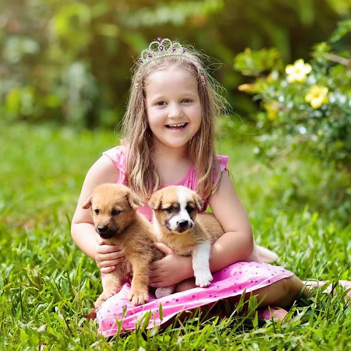 Lovelyshop Purple Gems Rhinestone Tiara for Little Kid Big Kid Prom Birthday Prinecess Crown