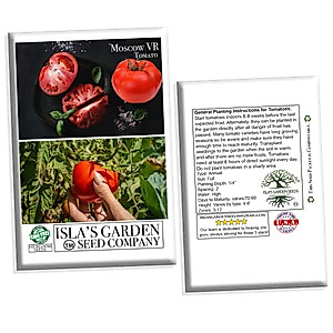 Moscow VR Tomato Seeds, 50 Heirloom Seeds Per Packet, (Isla's Garden Seeds), Non GMO Seeds, Botanical Name: Solanum lycopersicum, Great Home Garden Gift
