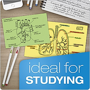 Oxford Blank Color Index Cards, 3" x 5", Green, 100 Per Pack (7320 GRE)