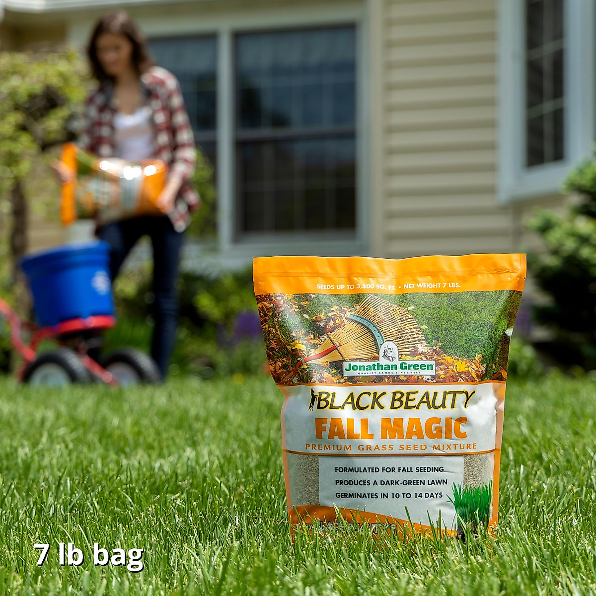 Jonathan Green (10768) Black Beauty Fall Magic Grass Seed - Cool Season Lawn Seed (7 lb)