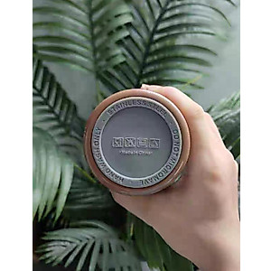 Insulated Stainless Steel Travel Mug ,Cup 22 oz, (Purple)