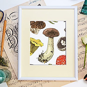 Geyoga 6 Pcs Vintage Mushrooms Rub on Transfers Mushroom Scrapbook Stickers Botanical Furniture Decals for DIY Arts Crafts Scrapbooking Diary Album Journals Nightstand Home Decor, 6 x 12 Inches
