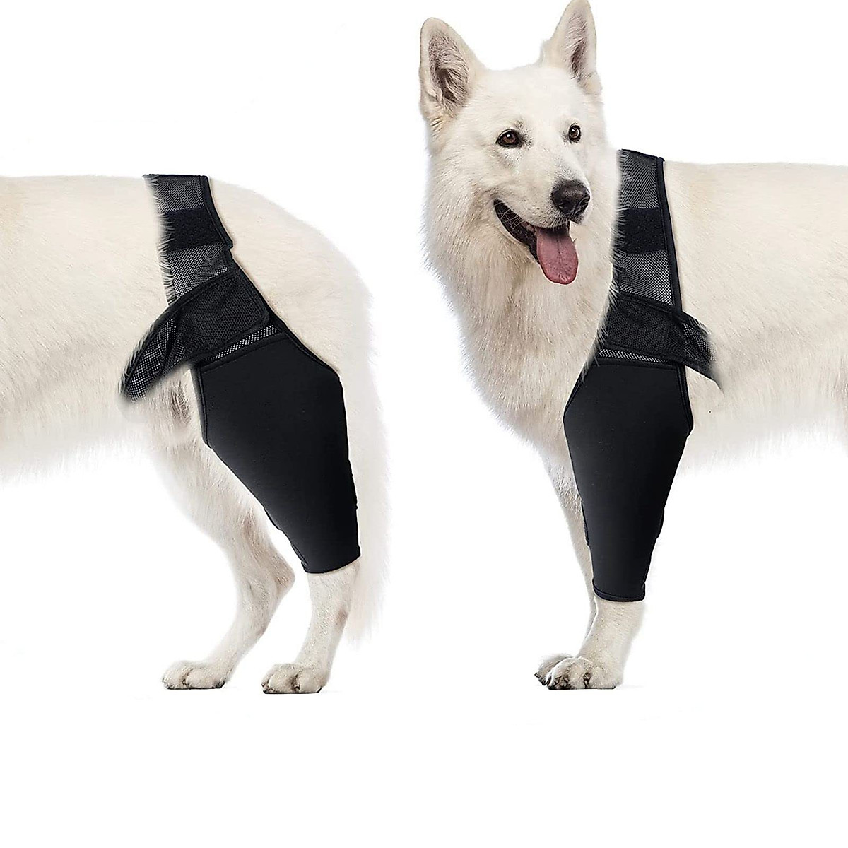 Dog Elbow Brace Protector Pads, Elbow Support Compression Wrap Knee Brace for Dogs Canine Elbow and Shoulder Support, Dysplasia, Arthritis, Elbow Calluses, Pressure Sores, Shoulder Dislocation(M)