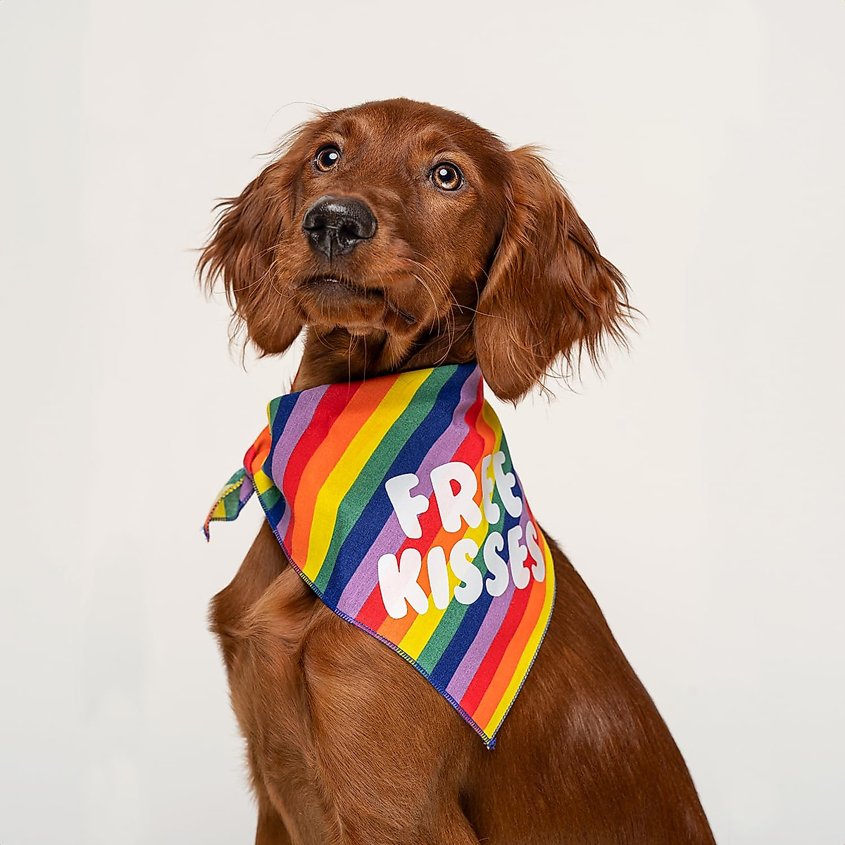 Free Kisses Pride Dog Bandana (Rainbow Stripe, OS 727)