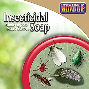 Bonide Insecticidal Soap, 32 oz Ready-to-Use Spray Multi-Purpose Insect Control for Organic Gardening Indoor and Outdoor