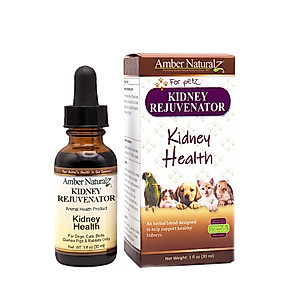 Amber NaturalZ Kidney Rejuvenator Herbal Supplement for Dogs, Cats, Birds, Guinea Pigs, and Rabbits | Pet Herbal Blend for Kidney Support | 1 Fluid Ounce Glass Bottle | Manufactured in The USA