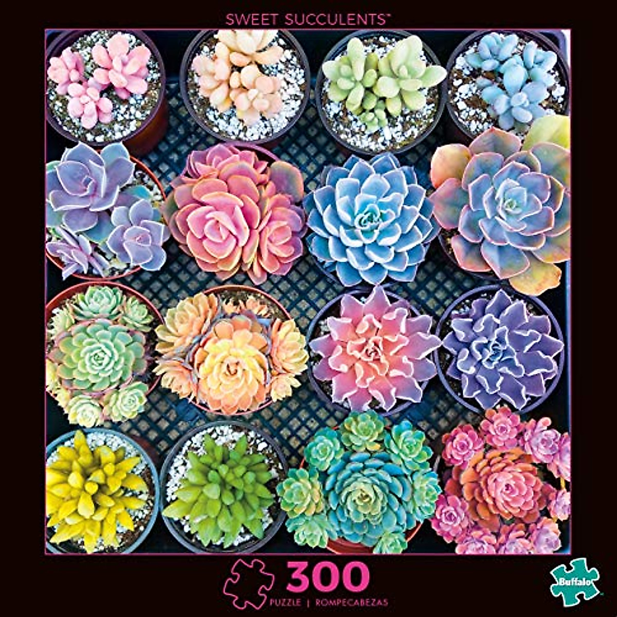 Buffalo Games - Sweet Succulents - 300 Large Piece Jigsaw Puzzle Multicolor, 18"L X 18"W