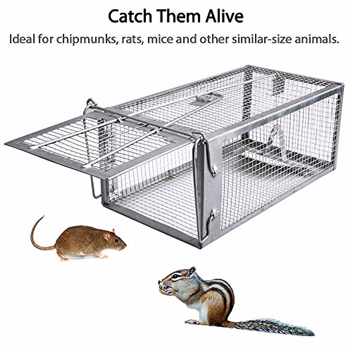 Gingbau Live Chipmunk Trap Humane Rat Mouse Cage Trap