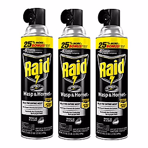 Raid Wasp and Hornet Killer, 17.5 OZ (Pack of 3)