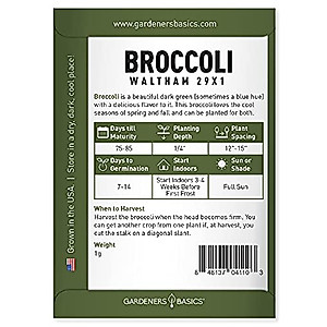 Broccoli Seeds for Planting is A Great Heirloom, Non-GMO Vegetable Variety- 1 Gram Seeds Great for Outdoor Spring, Winter, and Fall Gardening by Gardeners Basics