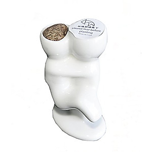 Homejoy New Mini Novel Ceramic Porcelain Bonsai Hug Grass Doll Hair Plant Head Planter Gift