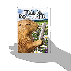 NobleWorks - 1 Happy Birthday Card with Funny Animals - Wildlife and Pet Humor, Fun Birthday Celebration Notecard - How I Roll C3956BDG