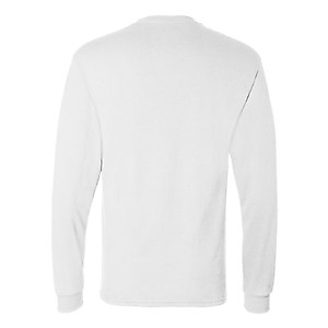 Hanes mens Essentials Long Sleeve T-shirt Value Pack (4-pack) fashion t shirts, White, X-Large US