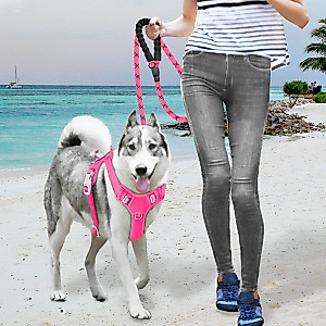 BARKBAY No Pull Dog Harness Large Step in Reflective Dog Harness with Front Clip and Easy Control Handle for Walking Training Running with ID tag Pocket(Pink,L)