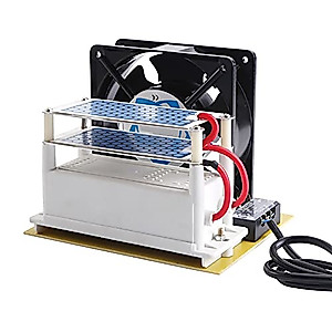 Vikye Ozone Generator, 110V 10g/h Professional Air Fresher Ozone Generator Double Ceramic Plate Ozonizer with Fan, Poratable Air Purifier Cleaner for Home or Office(US Plug)