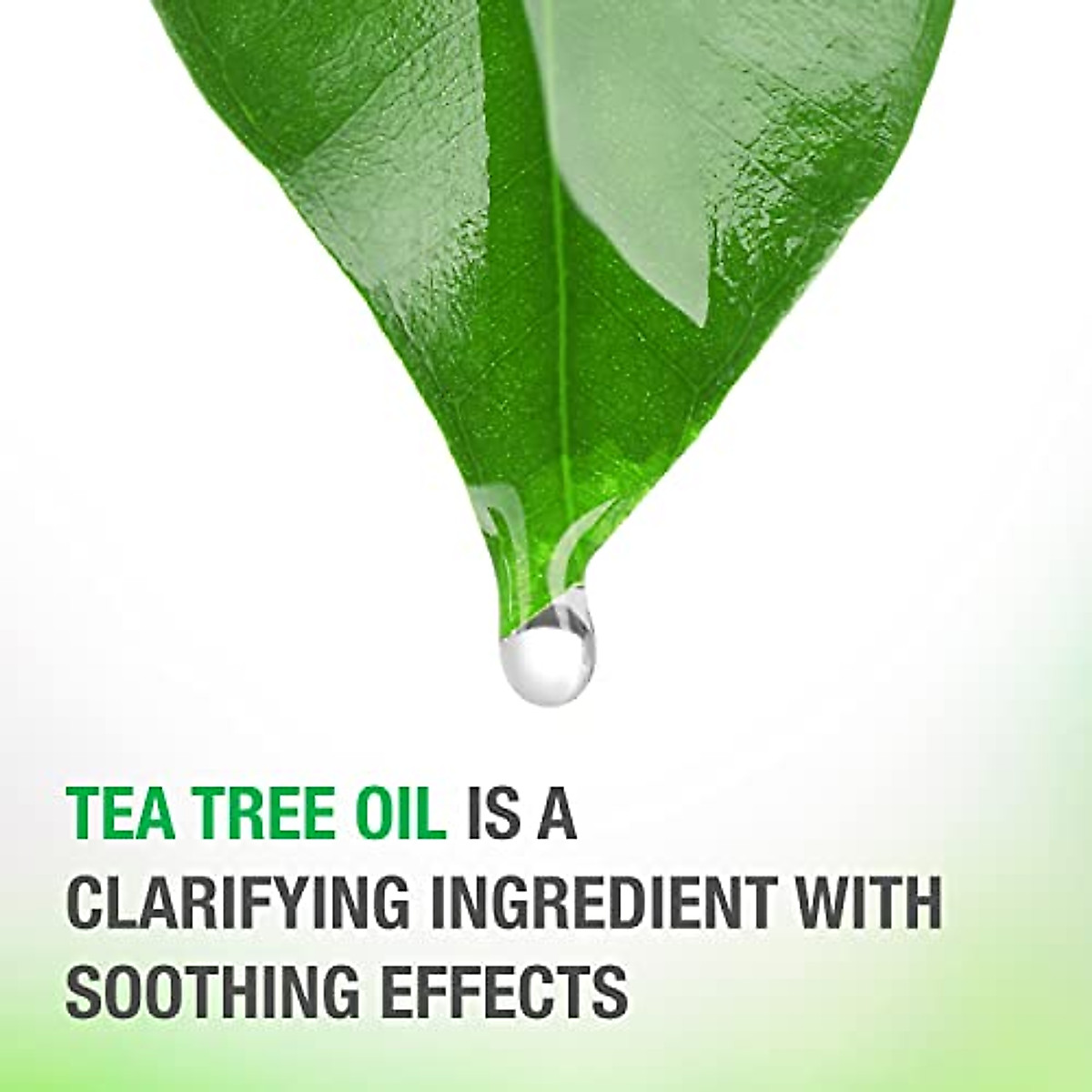 Neutrogena Soothing & Calming Healthy Scalp Conditioner to Moisturize Dry Scalp & Hair, with Tea Tree Oil, pH-Balanced, Paraben-Free & Phthalate-Free, Safe for Color-Treated Hair, 12oz