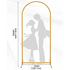 Wedding Arch Backdrop Stand,Gold Metal Door Arched Backdrop Frame Arches Backdrop Stand for Wedding Birthday Graduation Anniversary Celebration Opening Ceremony (6.6x3.3FT)