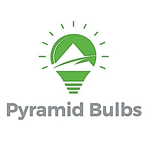 BULBMASTER Himalayan Light Bulb Replacement for Medium/Large Himalayan Salt Lamps Rocks Long Lasting Incandescent bulbs E12 Candelabra Base Dimmable Pack of 6 (25W-T6-6PK)