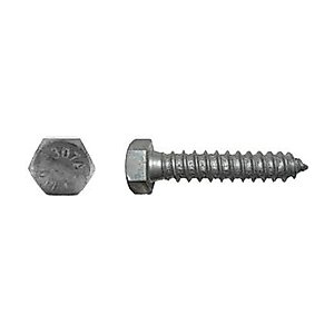 5/16" x 3" Hot Dipped Galvanized Lag Screws, Grade A, Quantity 100- by Fastener Depot, LLC