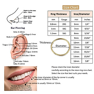 Lantine Septum Rings 316L Surgical Steel Septum Jewelry Nose Rings Hoops For Women Rook Daith Tragus Piercing Jewelry Hinged Cartilage Gold Hoop Earrings 16G