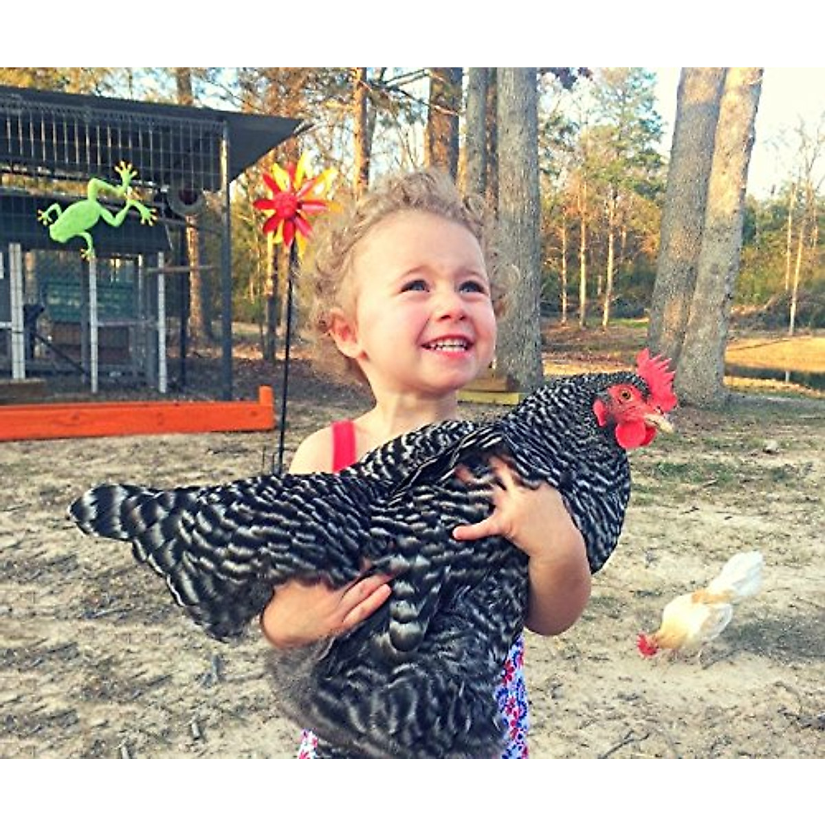 Manna Pro All Natural Water Protector, 16 oz