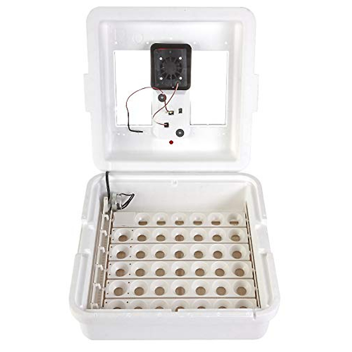 Little Giant® Digital Still Air Incubator | 41 Eggs | Egg Incubator with Temperature and Humidity Control | Chick Incubator