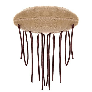 GIANTmicrobes E. Coli Plush – Learn About The Importance of Gut Health and Food Safety with This Unique Fun Gift for Families, Teachers, Chefs, Doctors, Gastroenterologists, Students and Scientists