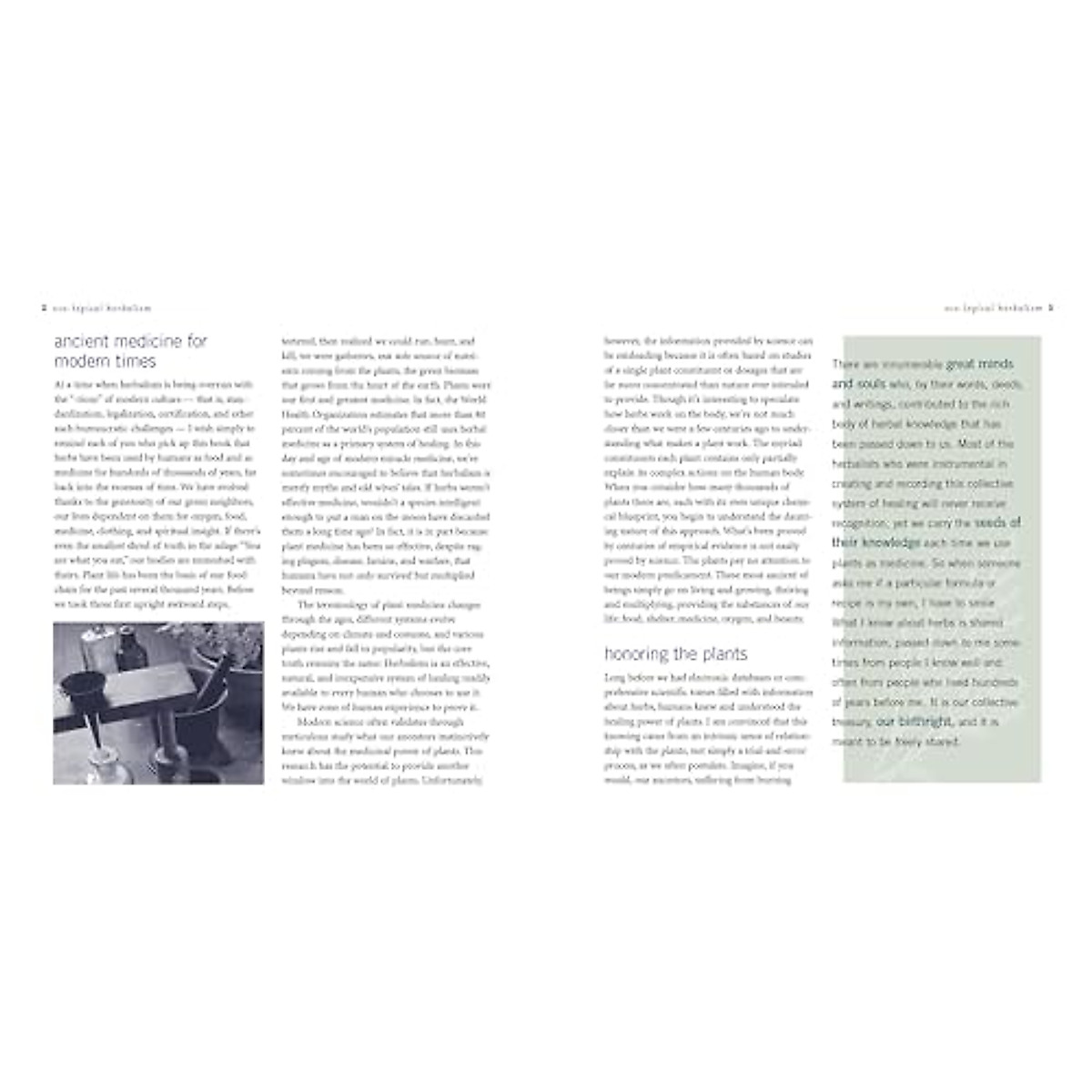 Rosemary Gladstar's Herbal Recipes for Vibrant Health: 175 Teas, Tonics, Oils, Salves, Tinctures, and Other Natural Remedies for the Entire Family