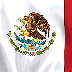 Skinit Decal Gaming Skin Compatible with PS4 Controller - Mexico Flag Design