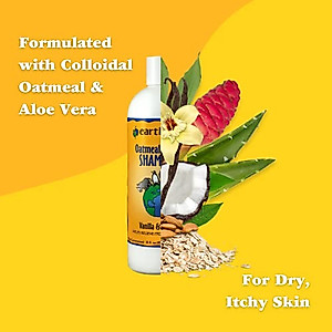 Earthbath Oatmeal & Aloe Shampoo & Conditioner Pet Grooming Set - Itchy, Dry Skin Relief, Made in USA - Vanilla & Almond, 16 oz