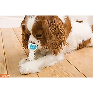 Hartz Chew ‘n Clean Twisty Bone Dog Chew Toy, Bacon Scented for Moderate Chewers, Extra Small