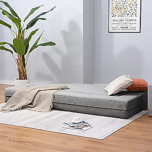 ZAFLY Twin Folding Sofa Couch Bed,8.6" Flip Out Sofa Bed,Convertible Sleeper Sofa Bed,Comfy Floor Couch Bed,Futon Sofa Bed Memory Foam Mattress,Linen Fabric Small Couches for Small Spaces,Light Grey