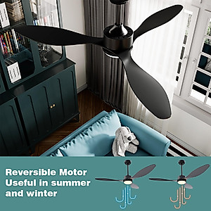 OUATER Modern Ceiling Fan with Lights, 52 inch, 6 Speed, DC Motor, Black, for Bedroom/Outdoor/Farmhouse/Patios