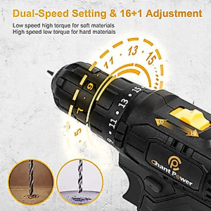 Cordless Drill, 20V Max Lithium-Ion Drill Driver Kit with 2 Variable Speeds, 41pcs Accessories, 16+1 Torque Setting, Built-in LED for Drilling Wood, Soft Metal, Plastic, C P CHANTPOWER