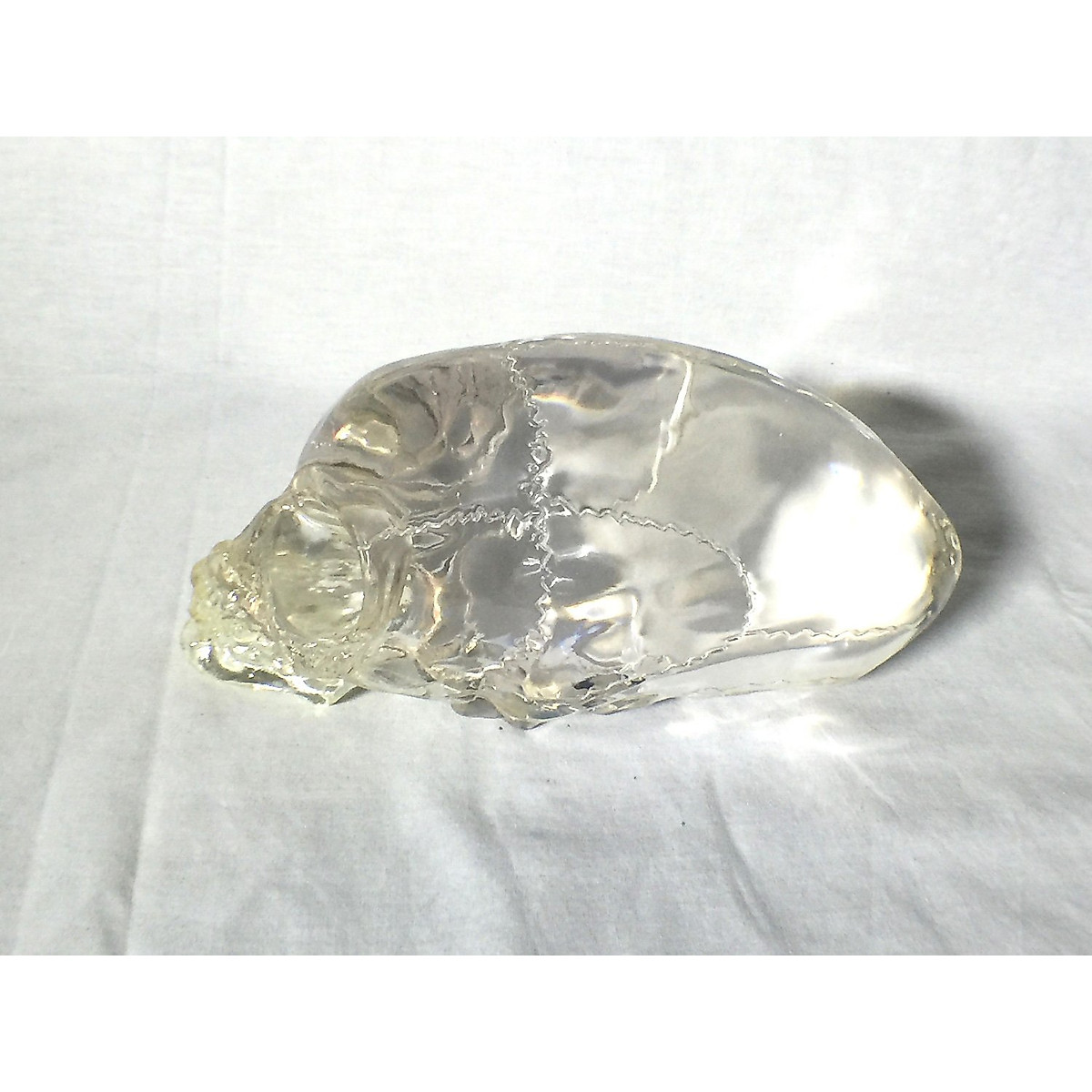 Indy, Alien Crystal Skull Real Prop Replica, Signed, Numbered, Limited Edition