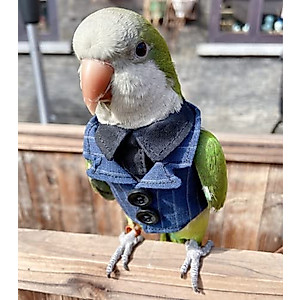 Bird Costume Bird Diaper Flight Suit Bird Jeans Top Bird Clothes Cosplay Photo Prop for Parrots Lovebird Parakeet Cockatiel Small Animals Apparel (Without Diaper,Cockatiel)