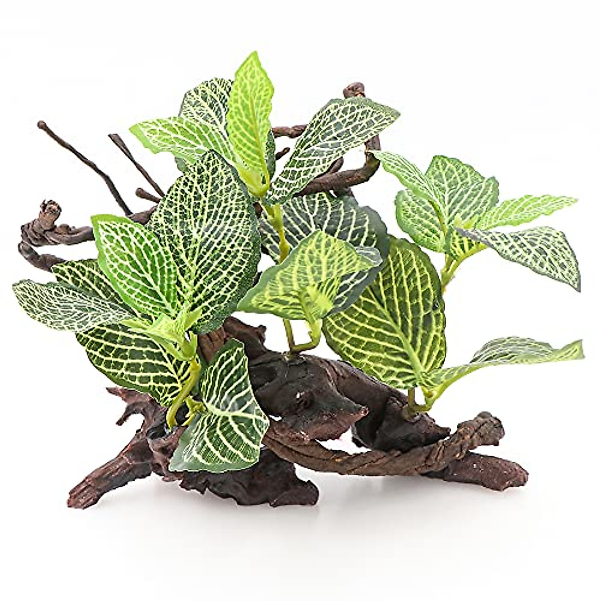 HRRIVE Reptile Rain Forest Ground Plants Decorations for Lizard Snake Bearded Dragon Crested Gecko Amphibian and Terrarium Habitat Decor