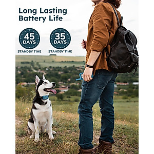 Jugbow Dog Shock Collar - 4200FT Dog Training Collar with Remote, IPX7 Waterproof Electric Collar with 4 Training Modes, Security Lock, Rechargeable e-Collar for All Breeds, Sizes