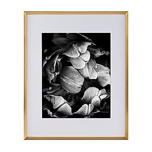 Mikasa Metal Portrait Frame, Displays 11x14 Photo with Mat, 16x20 without Mat, Gold