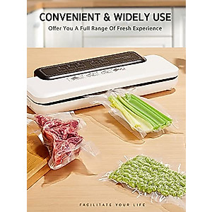 Syntus Vacuum Sealer Bags, 6 Pack + 100 Quart Size Commercial Grade Bags Rolls, Food Vac Bags for Storage, Meal Prep or Sous Vide