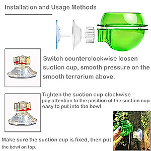 HERCOCCI 2 Pack Chameleon Bowls, Reptile Ledge Feeder Suction Cup Worm Bowl & Water Dish Supplies for Chameleon Lizard Bearded Dragon Gecko Snake