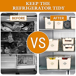 Artendjoon Divided Serving Tray with Lids, Handle&4Removable Colanders, Snackle Box Charcuterie Box, Kitchen Organizers and Storage, Snack Box, Meal Prep Containers Reusable, Snack Platters